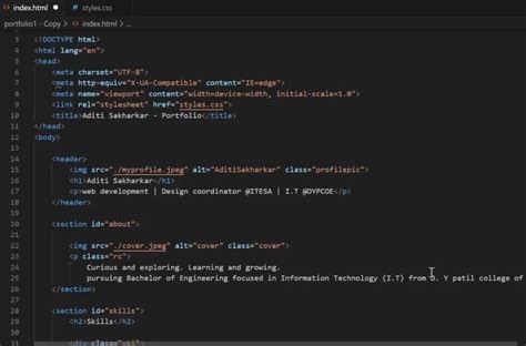 Video Aditi Sakharkar On Linkedin Skybug