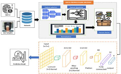 Cnn Model Framework Diagram Algorithm Blood Group Prediction Using Download Scientific