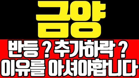 금양 반등 하락 이유를 아셔야합니다 윤교수 금양 금양목표가 금양상한가 Youtube