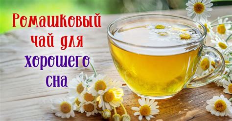 Ромашковый чай как его заваривать Со Вкусом