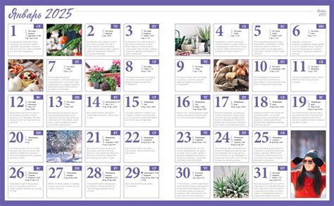 Лунный посевной календарь садовода цветовода и огородника на январь 2025 года