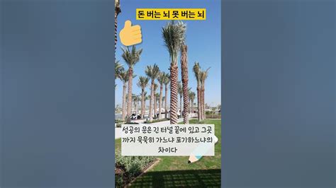 돈 버는 뇌 못 버는 뇌 부자의 부의 성공 Youtube