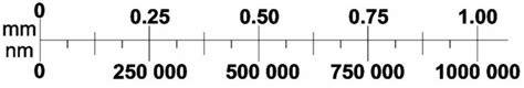 Millimeters To Nanometers Conversion Scale Source The Author Download Scientific Diagram