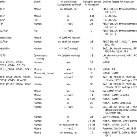 The Summary Of Leydig Like Cells Generation Using Different Cell Types