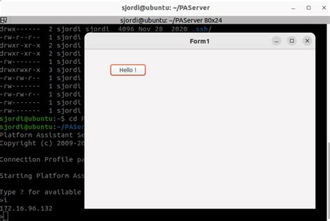 Fmx Package Units Not Found After Fmxlinux Installation Fmx Delphi