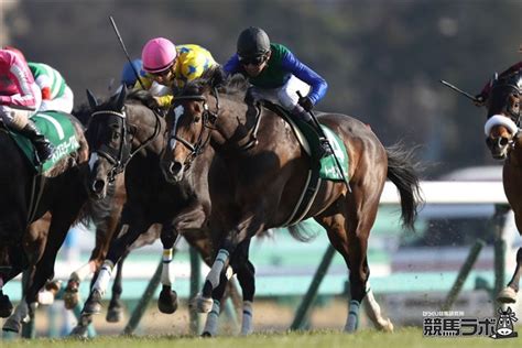 第35回 ローレル競馬場賞中山牝馬ステークス（gⅢ） トーセンビクトリー Fantakosuiのブログ