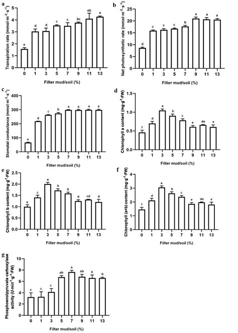 Effects Of Applying Eight Different Proportions Of Filter Mud On