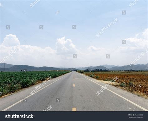 3 159 Distant Tree Line Images Stock Photos Vectors Shutterstock