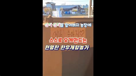 손자손녀들이 할아버지농장에 자주오게 하는 방법 Youtube