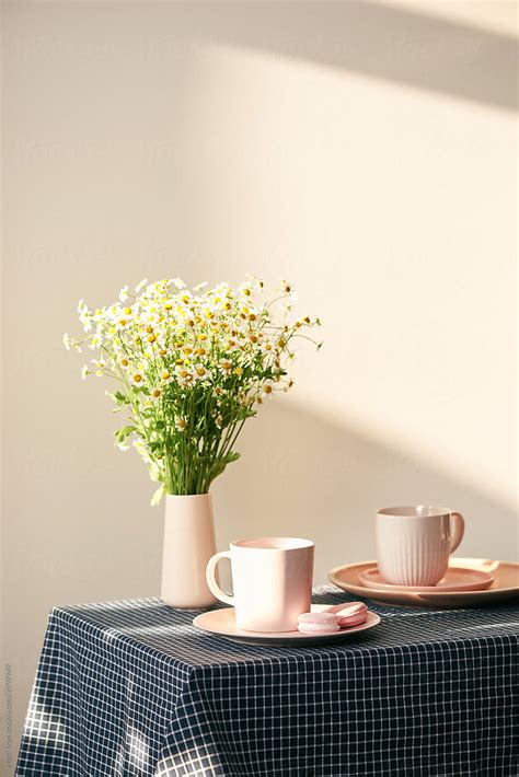 afternoon tea by stocksy contributor marc tran stocksy