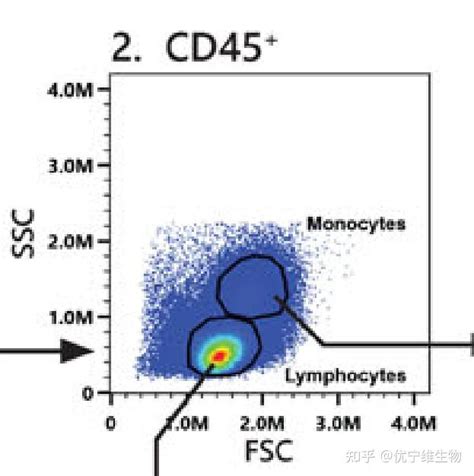 【光谱系列3】40色全光谱流式用于人外周血中主要细胞亚群的深度免疫表型 知乎