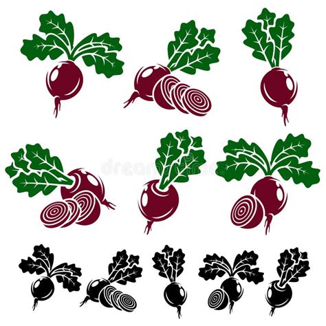Beet Set Vector Stock Vector Illustration Of Ripe Beet 85436169