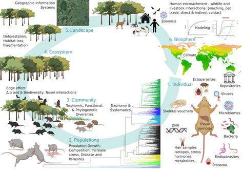 Conceptual Framework Identifying Key Components Of The Ecological