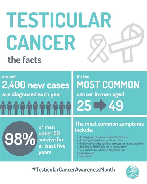 Window April Is Testicular Cancer Awareness Month 🎗️💙 Testicular