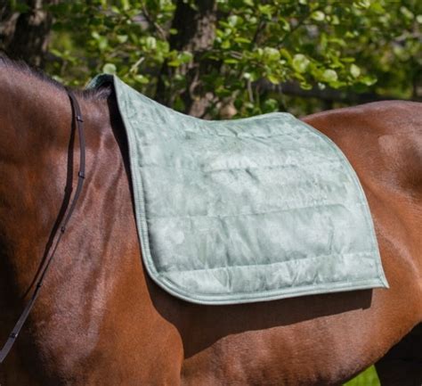 Tapis De Selle Anatomic Dress Csell Fr