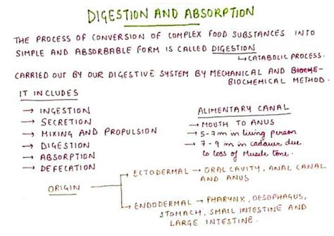 SOLUTION Digestion And Absorption Studypool
