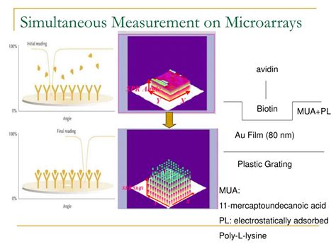 Ppt Grating Coupled Spr For Rapid Label Free Array Based Sensing