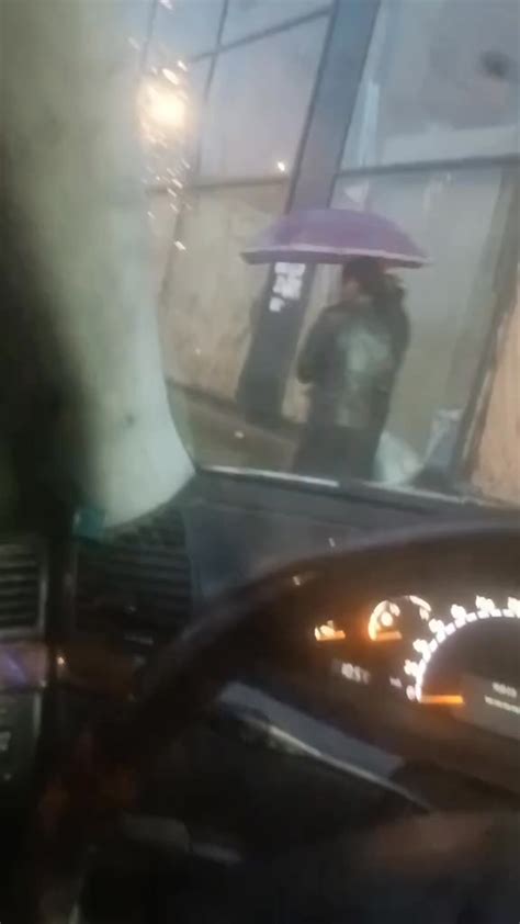 სიყვარულზე შეყვარებული და თო