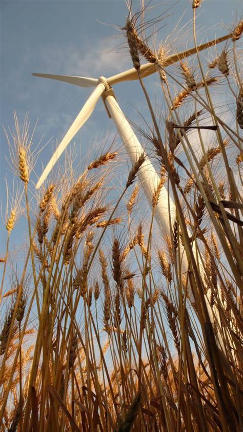 Сэргээгдэх эрчим хүч үйлдвэрлэгчдийн холбоо Mria Home Facebook