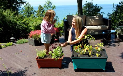 Emsco Group City Picker Raised Bed Grow Box Self Watering And