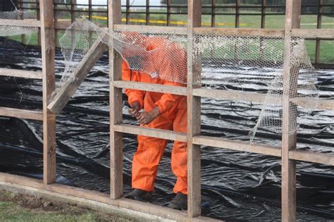 Asbestos Cladding Asbestos Busters