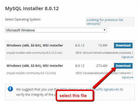 Comment Installer Et Configurer Uniquement Le Serveur Mysql Avec Une