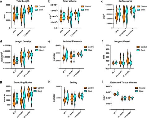 quantification of x ray high resolution micro ct scanning parameters