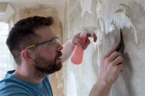 홈 수리 남자는 주걱과 물과 분쇄기와 벽에서 오래된 벽지를 제거합니다 가사 집안일에 대한 스톡 사진 및 기타 이미지 가사 집안일 가정 생활 가정의 방 Istock