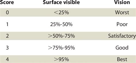 objective scoring system for endoscopic visibility download