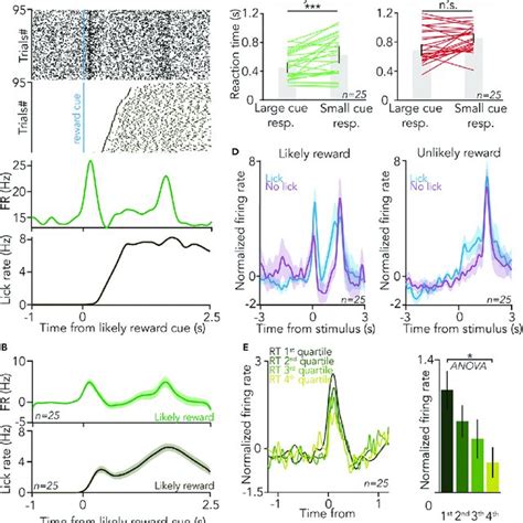 Optogenetic Identification Of Basal Forebrain Cholinergic Neurons Download Scientific Diagram