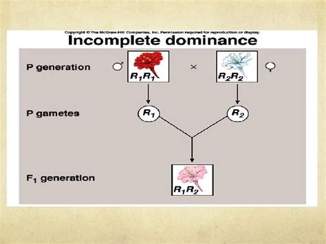Genetics Incomplete And Codominant Inheritance Patterns Work With