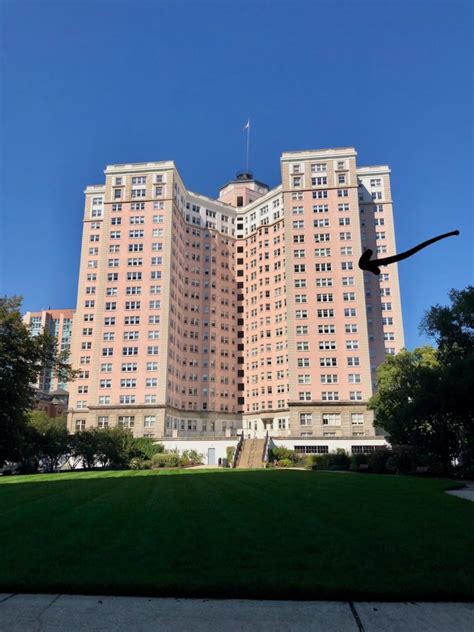 Progress Report Doll