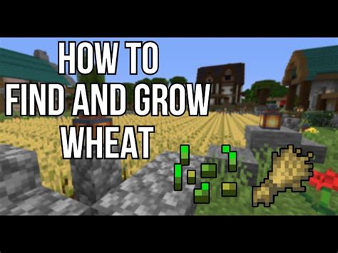 Minecraft Wheat Seeds