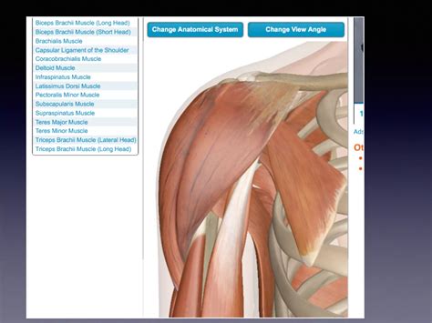 Shoulder Block Tutorial 2014 Ppt