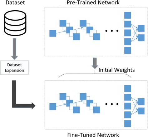 Concept Of Transfer Learning The Trained Weights From A Pre Trained Download Scientific