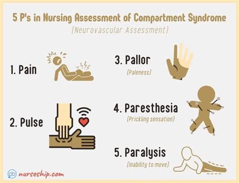 5 Stages Of Bone Healing Process Fracture Classification 5 Ps My Xxx