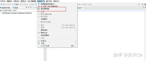 工具 Dbeaver连接达梦dm数据库及配置 知乎 工具 Dbeaver连接达梦dm数据库及配置 知乎