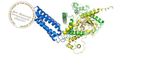 Future Of Protein Structure Modeling Published In Journal Of High School Science