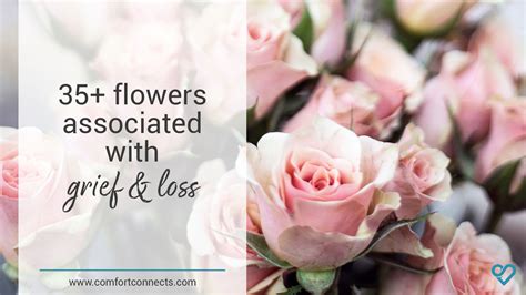 35 Flowers Associated With Grief And Loss Flower Meanings Grief Support