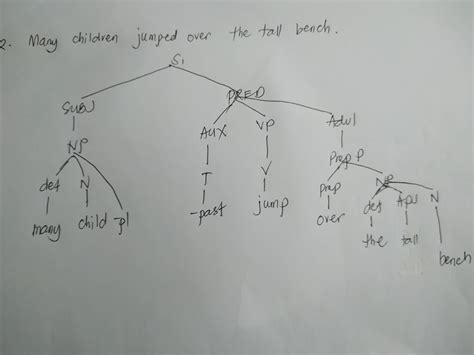 Solved Draw Phrase Structure Trees To Represent The Following Course Hero