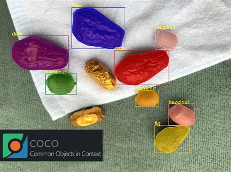 Chengwei Zhang On Linkedin How To Create Custom Coco Data Set For Instance Segmentation