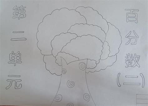 六年级下学期第二单元手抄报简单笔画（12张）手抄报图片大全