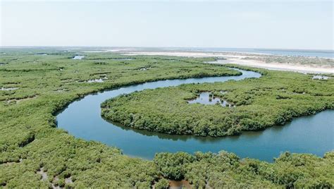 29 Facts About Wetlands