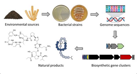Genome Mining Eustaquio Lab University Of Illinois Chicago