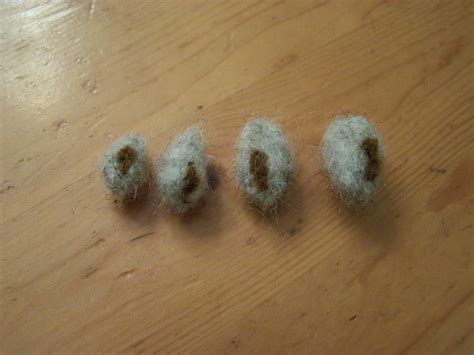Madebyjoey Needle Felted Catkin Tutorial