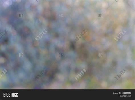 Natural Sunlight Bokeh Image And Photo Free Trial Bigstock
