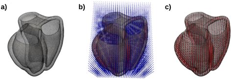 211006671 Cardiac Electrophysiology Meshfree Modeling Through The Mixed Collocation Method