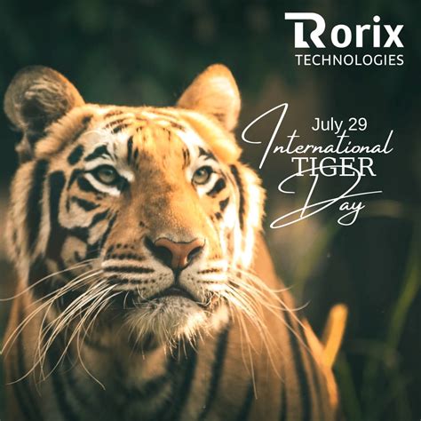 Rorix Technologies On Linkedin Internationaltigerday Savetigers