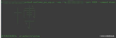 复现cve 2022 10270（向日葵远程代码执行漏洞）cnvd 2022 10270 Csdn博客