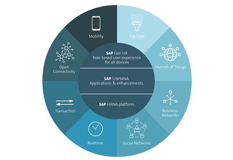 SAP S 4HANA Ameri100Ameri100